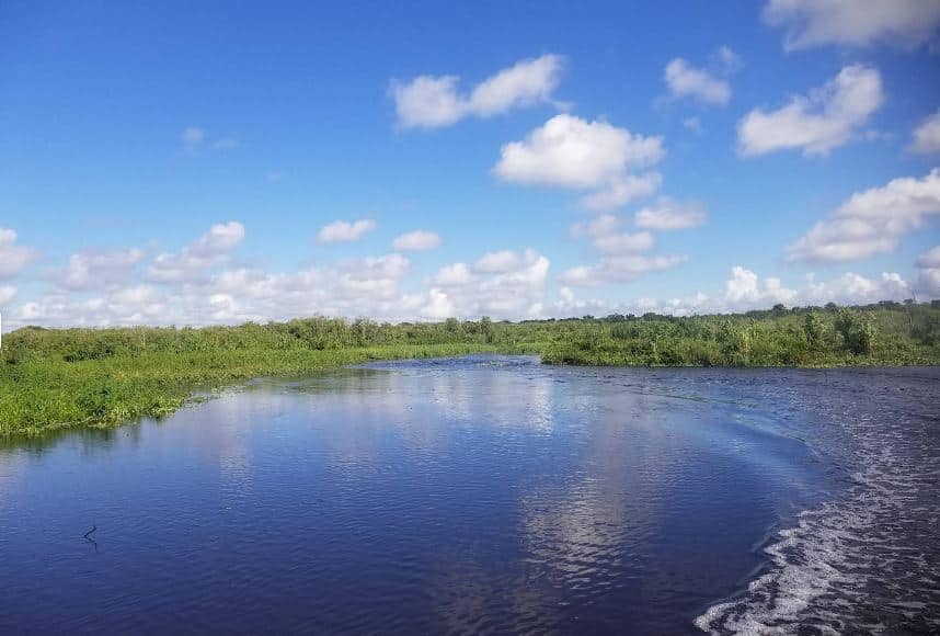Lake Jesup Conservation Area - Rooftek