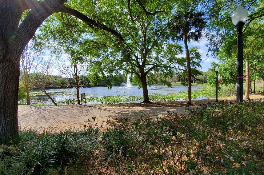 Lake Lily Park - Rooftek